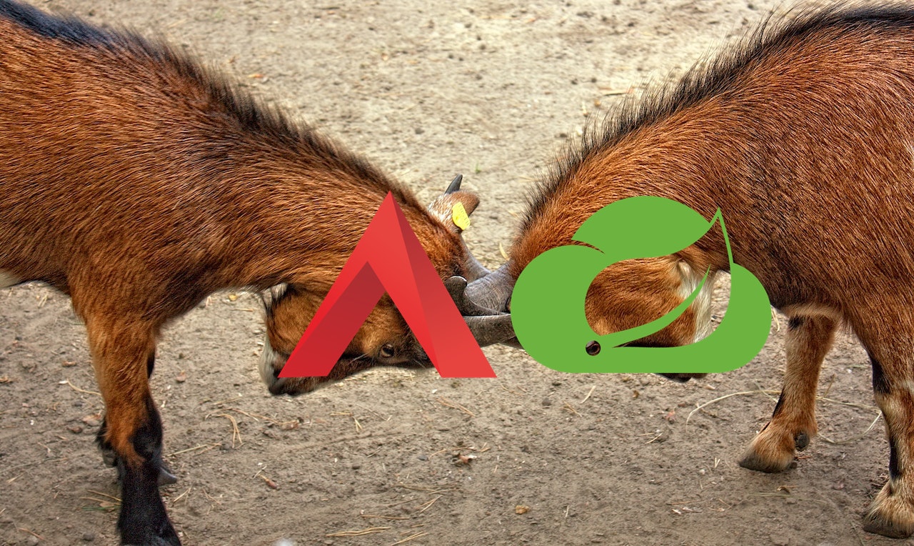 Evaluating Apache Apisix Vs Spring Cloud Gateway